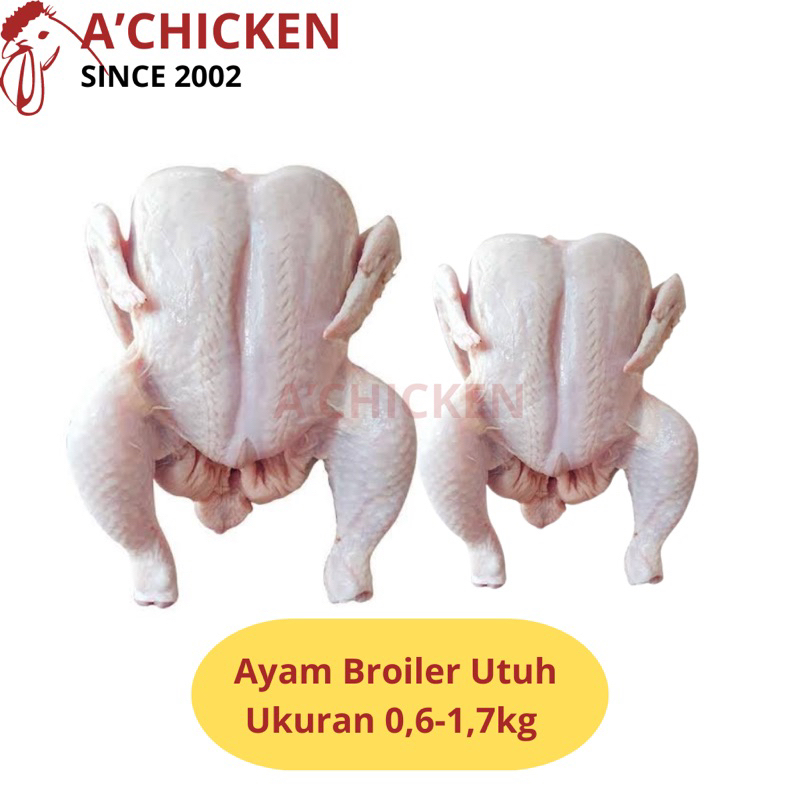 Jual Daging Ayam Broiler Utuh 0,6-1,7kg – Segar, Bersih, Siap Masak ...