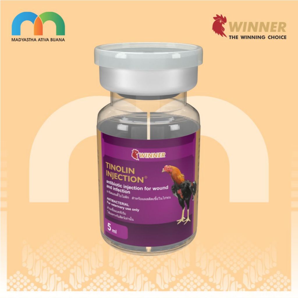 Jual WINNER Tinolin Injection 5 ml Medion Obat Sistem Pernafasan Adu ...