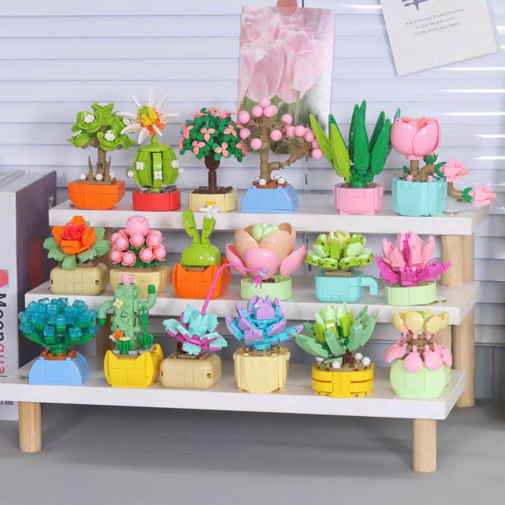 Jual Mainan Blok Mini Sukulen Edukatif DIY Flower Block Pot Tanaman ...