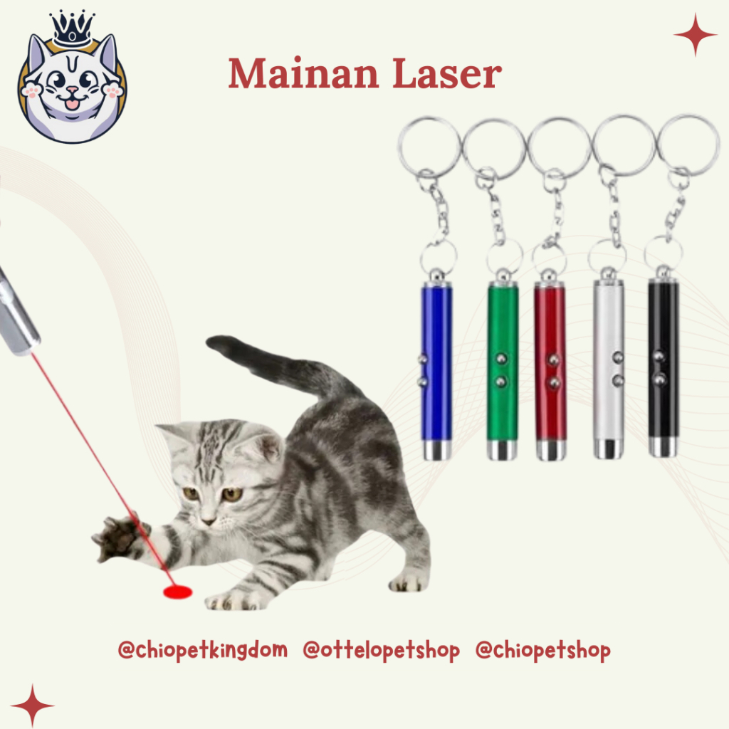 Jual Laser Mainan Kucing Cat Toys Pointer | Shopee Indonesia