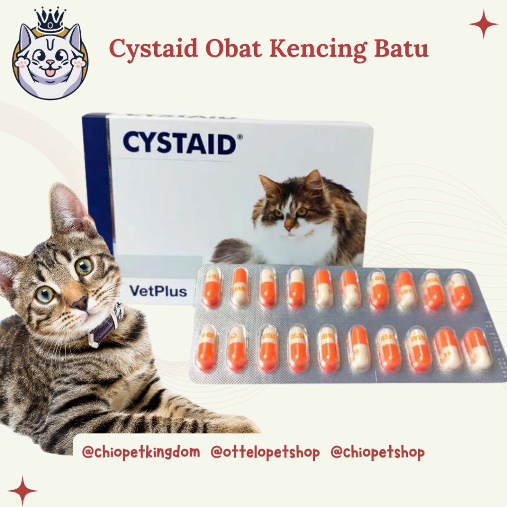 Jual Cystaid Vet Plus Kapsul Obat Gangguan Saluran Kencing Kucing ...