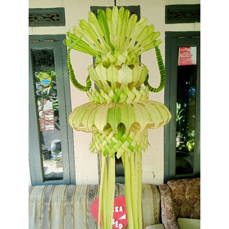 Jual Janur Kuning Pernikahan Terlengkap & Harga Terbaru Mei 2026 ...