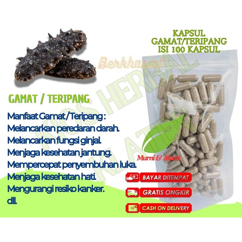 Jual GAMAT EMAS isi 100 kapsul untuk penyembuhan luka dalam dan luar ...