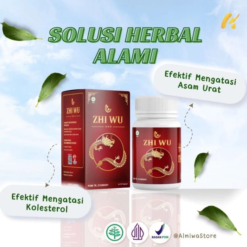 Jual OBAT ZHI WU ORIGINAL OBAT CHINA ASLI ISI 30 KAPSUL OBAT HERBAL ...