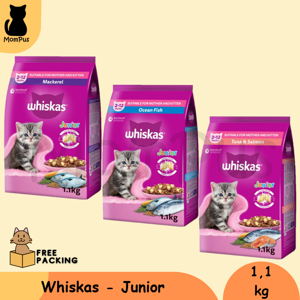 Jual Whiskas Dry Food 1.1kg Freshpack Junior Kitten Makanan KUCING ...