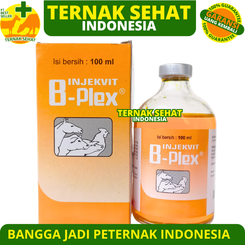 Jual INJEKVIT B PLEX 100ML MEDION - Vitamin B Complex B Kompleks ...