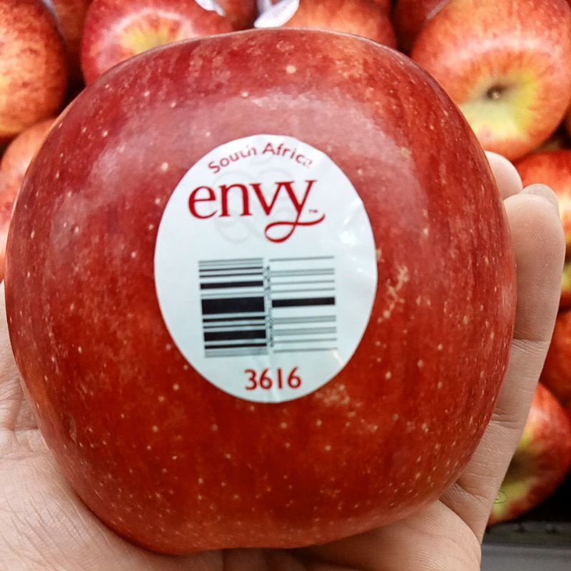Jual Apel Envy Afrika / Size Medium / 1 Kilogram ( 4-5 pcs ) | Shopee ...