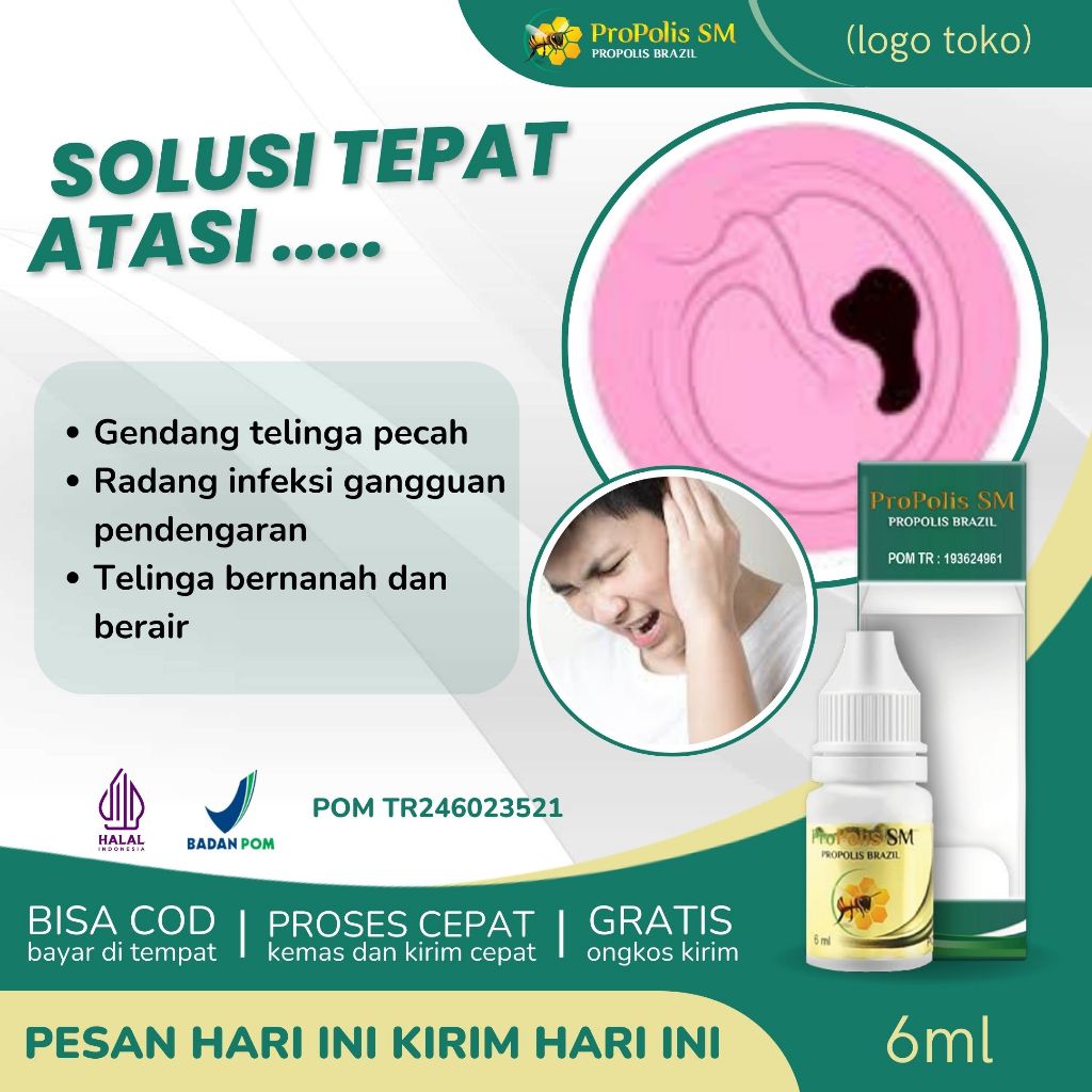 Jual Gendang Telinga Pecah, Radang Infeksi Gangguan Pendengaran, Telinga Bernanah Berair ...