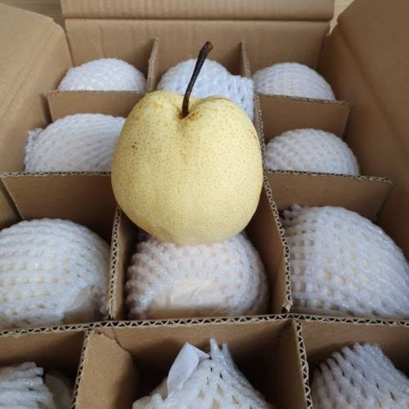 Jual BUAH PIR MADU MANIS RENYAH / SWEET PEAR | Shopee Indonesia