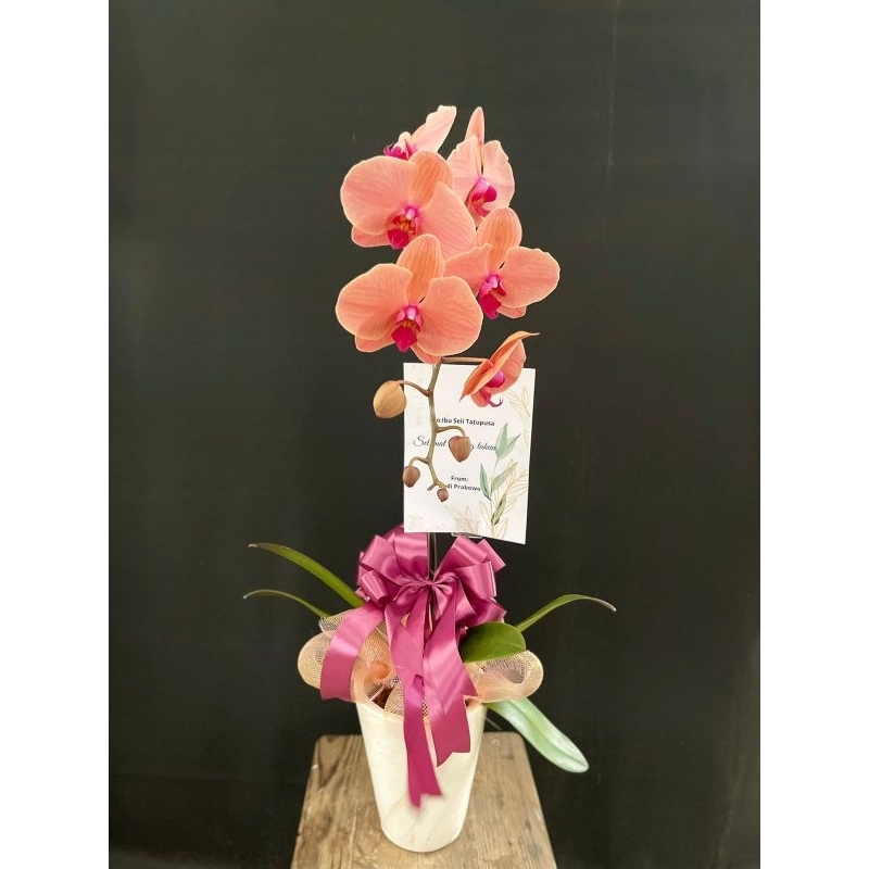 Jual RANGKAIAN BUNGA ANGGREK ISI 1 TANGKAI COCOK UNTUK KADO/HADIAH/GIFT ...
