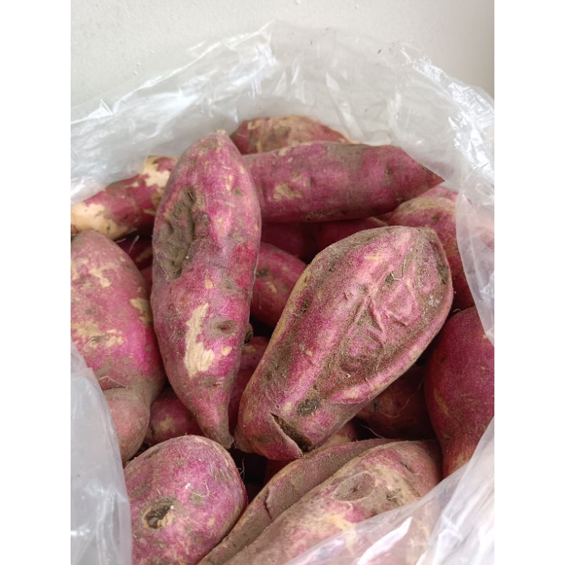 Jual Ubi Jalar Merah Segar 1 Kg | Shopee Indonesia