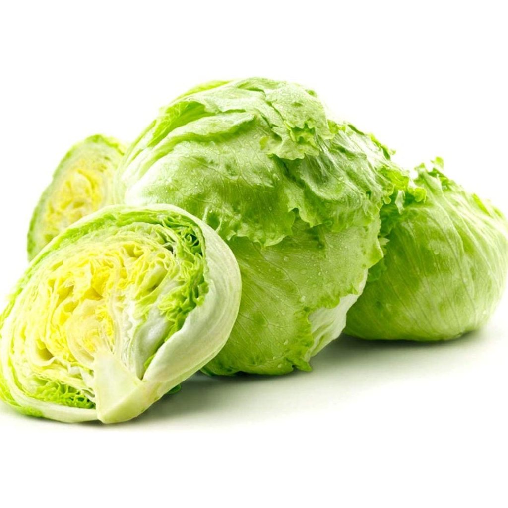 Jual Selada untuk kebab burger Head Lettuce 500 gr | Shopee Indonesia