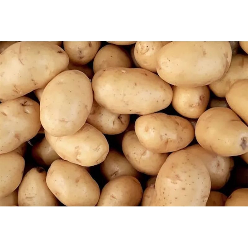 Jual ketang 1 kg / kentang 1 kilo / kentang segar / kentang hasil kebun ...