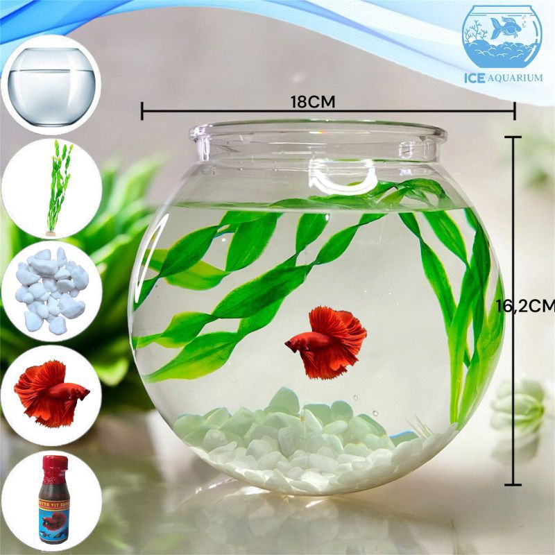 Jual Akuarium Bulat / Aquarium Mini / Akuarium Ikan Cupang / Ikan ...