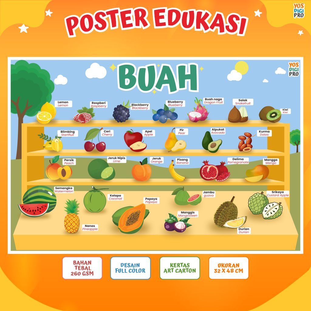 Jual Poster Edukasi Belajar Nama Buah Buahan Desain Premium Menarik ...