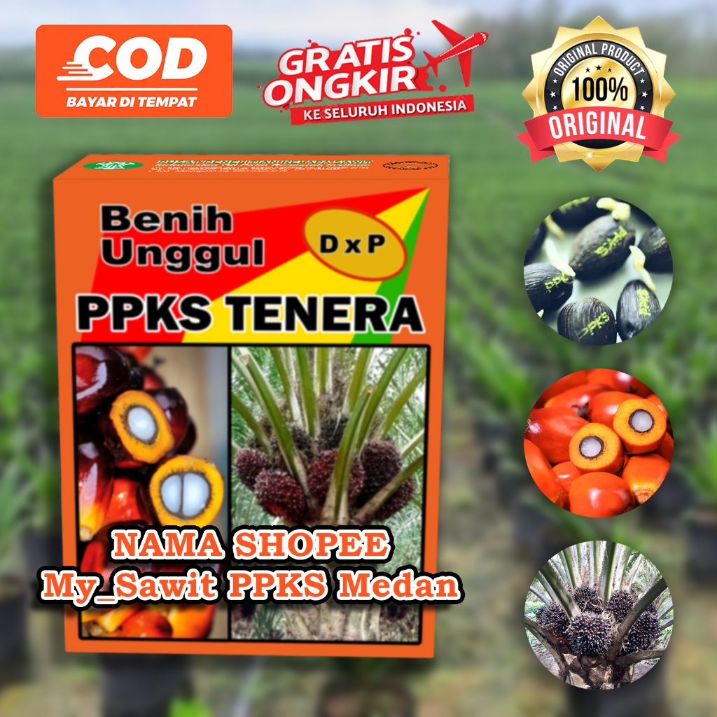 Jual PPKS DXP TENERA SUPER UNGGUL DAPAT SERTIFIKAT DAN BONUS | Shopee Indonesia