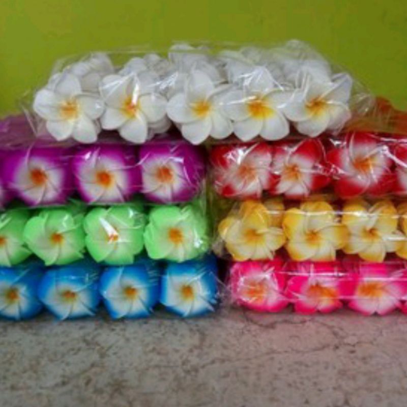 Jual isi 50 biji BUNGA KAMBOJA KEMBANG JEPUN JEPON isi 50 biji ...