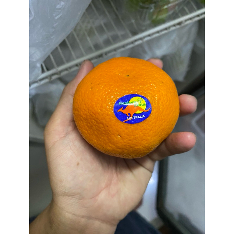 Jual Jeruk Honey Murcot Australia//Mandarin Manis Segar | Shopee Indonesia