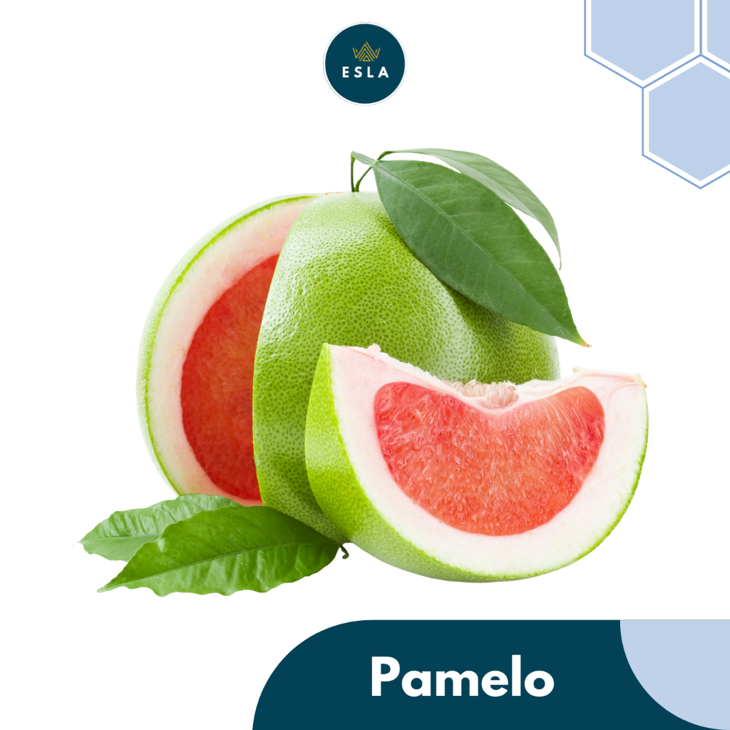 Jual JERUK PAMELO/ JERUK BALI (1 BUAH) I Buah Fresh dan Premium - ESLA ...