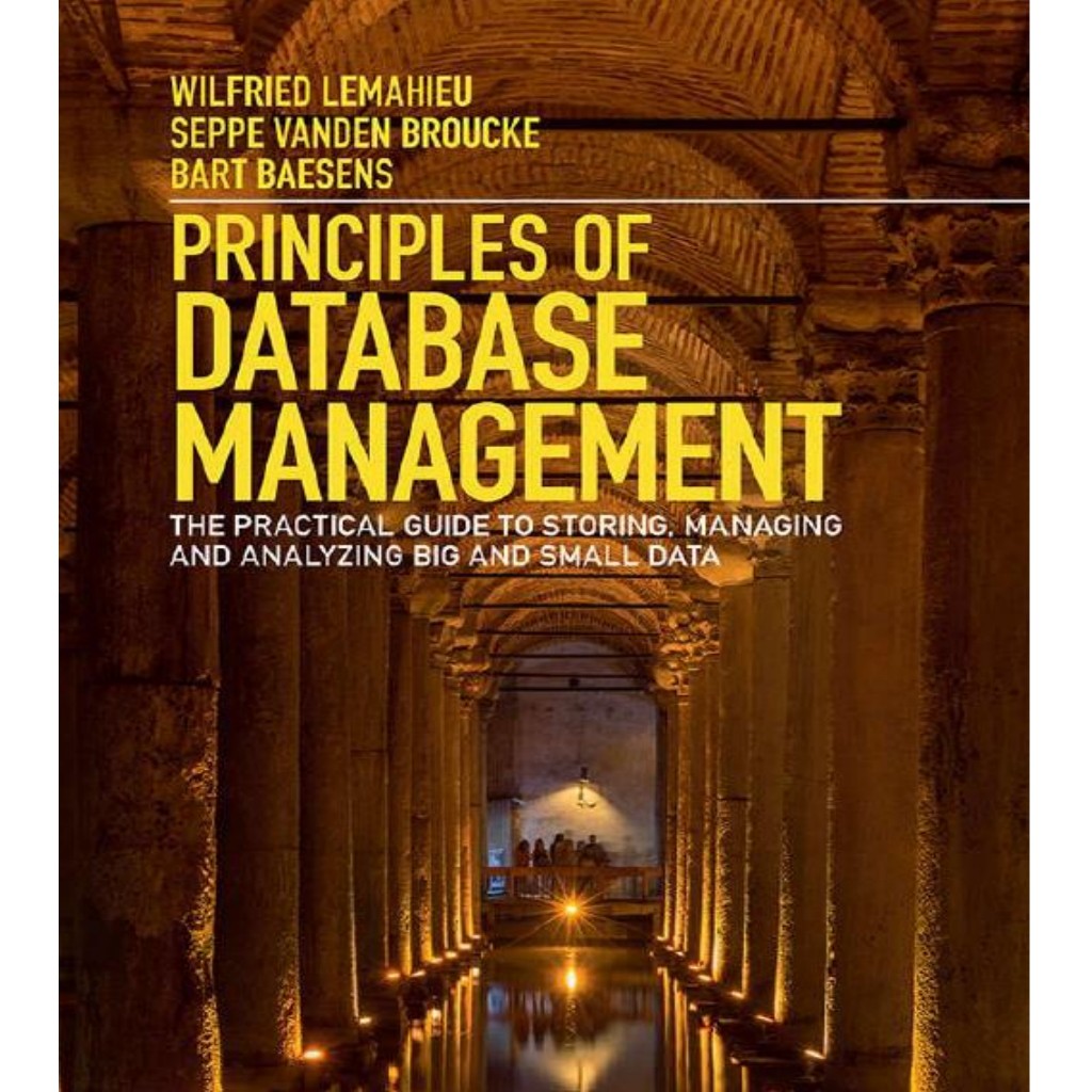 Jual [ENG29] Principles of Database Management The Practical Guide to ...