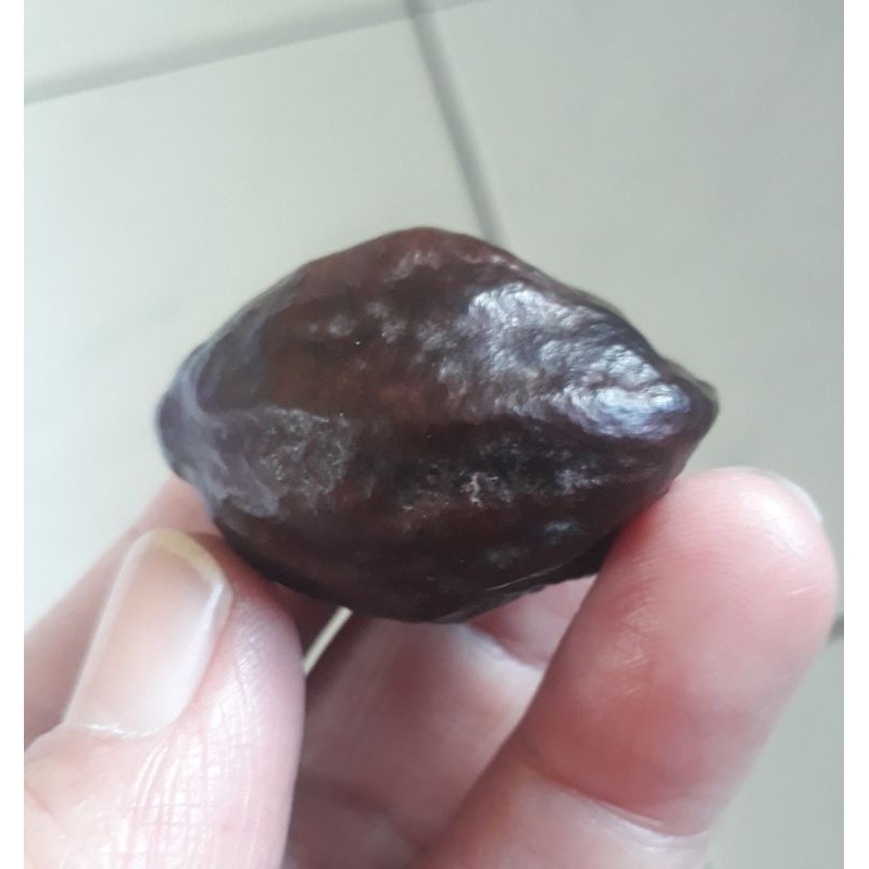 Jual Muncang Adu Jawa Si Sumur Malangbong Garung | Shopee Indonesia