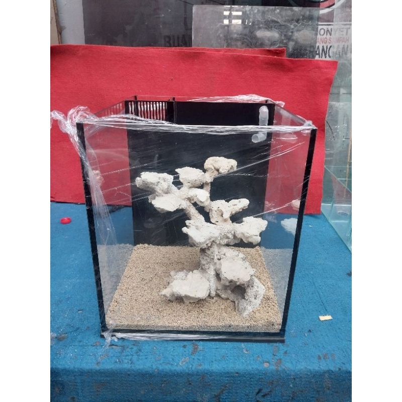Jual Aquarium laut full sett 35cm Nano tank sett Marine Tank | Shopee ...