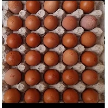 Jual Promo Telur ayam Omega 3 Fresh Grade Kecil (30 butir/Tray ...