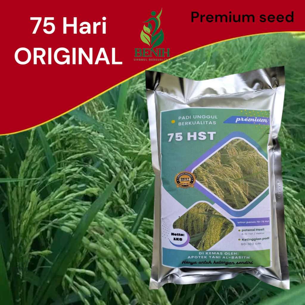 Jual Benih Padi Bibit Padi 75 Hari panen Super Genjah 1 kg | Shopee ...