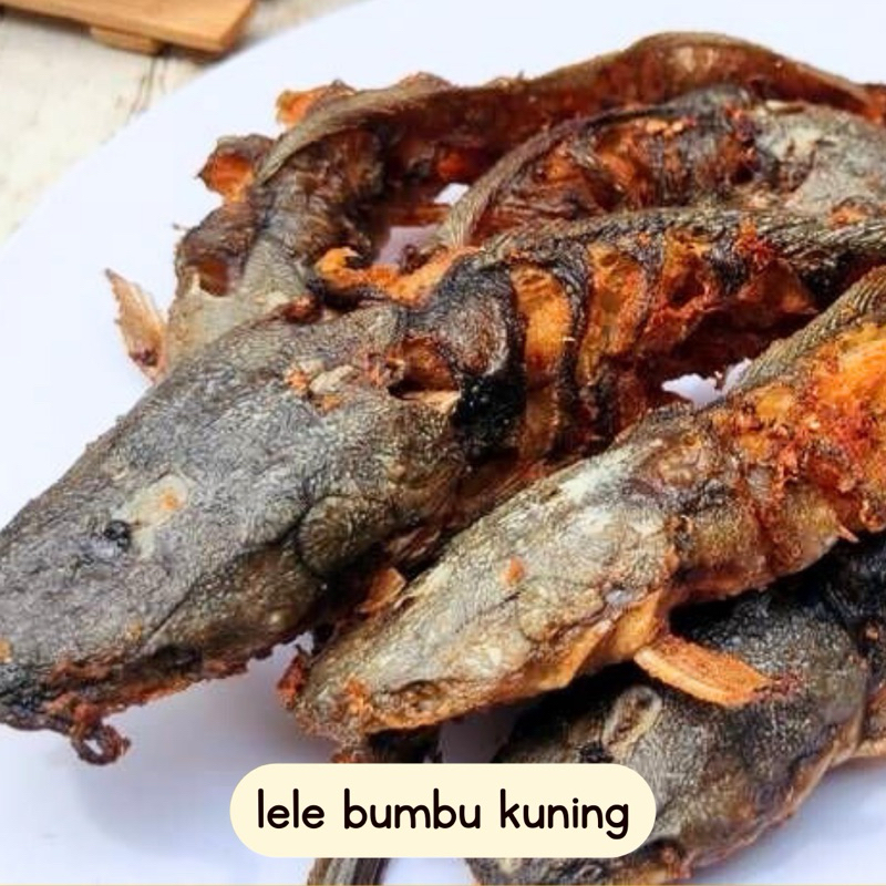 Jual KIRIM INSTAN lele bumbu kuning (frozen) | Shopee Indonesia