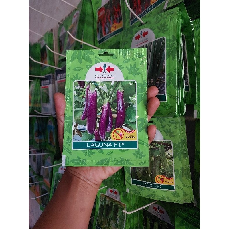 Jual Benih Terung Ungu Hibrida LAGUNA F1 400 Biji | Shopee Indonesia