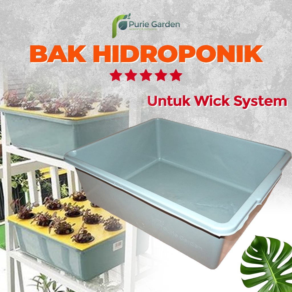 Jual Bak Hidroponik Starter Kit Wick System TAHAN BANTING Purie Garden ...