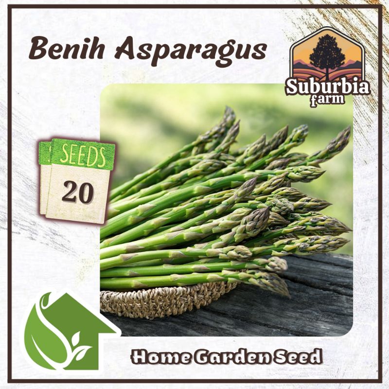 Jual 20 Biji Benih Asparagus Mary Washington | Shopee Indonesia