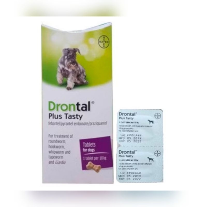 Jual Drontal dog plus obat cacing anjing 1 tablet untuk berat 10kg ...