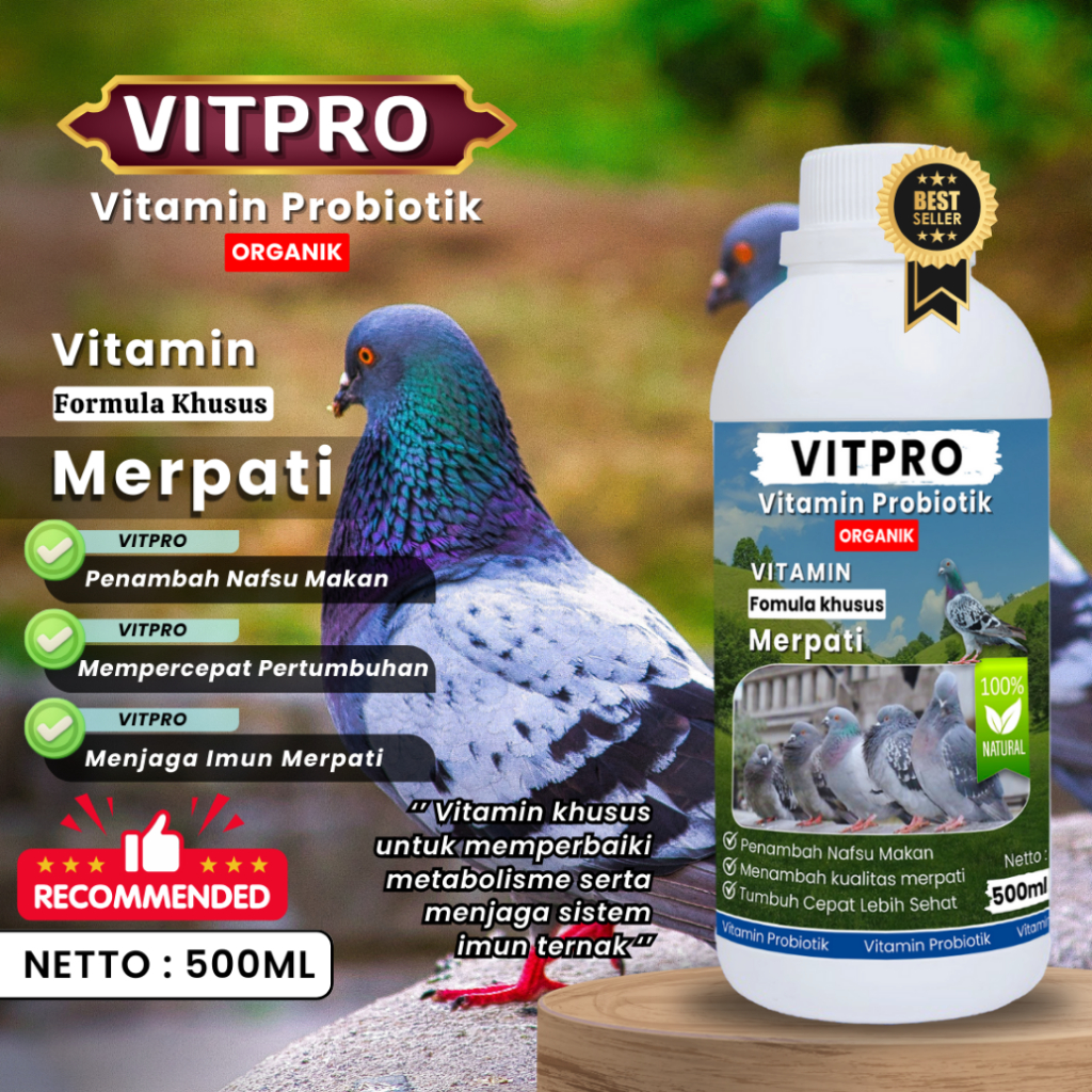 Jual VITPRO Vitamin Burung merpati Agar Cepat Bertelur Obat Betina Anti ...