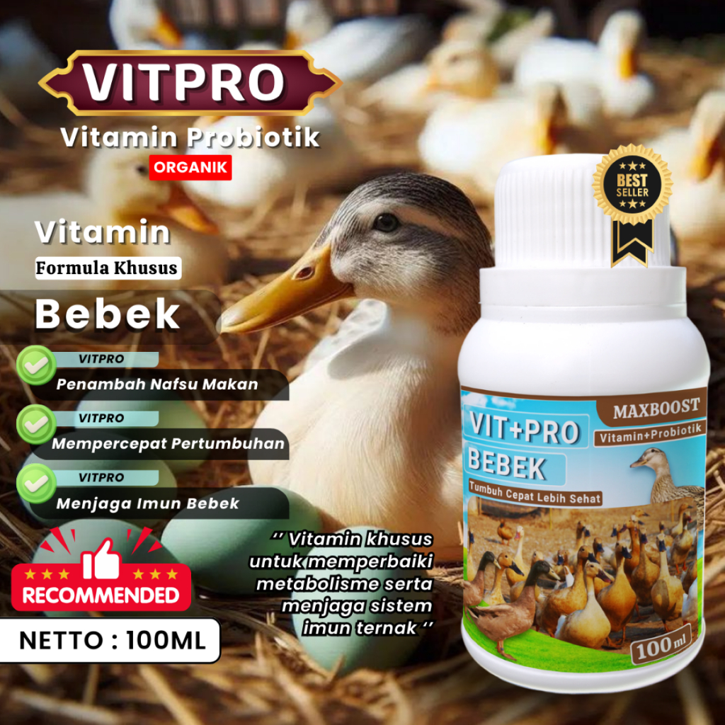 Jual VIT+PRO Vitamin Ternak Bebek Petelur Agar Telur Bertambah Banyak ...