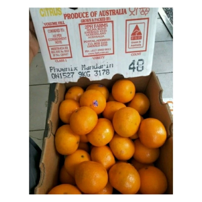 Jual Jeruk Phonix Australia 9 Kg / Box | Shopee Indonesia
