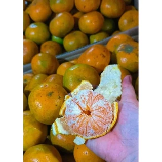 Jual Jeruk 1 Kg Terlengkap & Harga Terbaru Desember 2024 | Shopee Indonesia