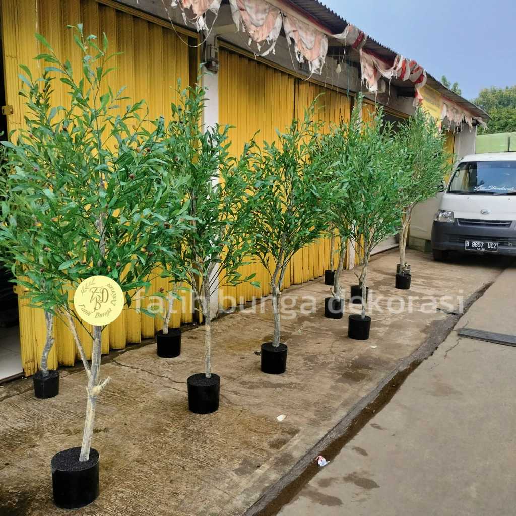 Jual Tanaman Hias Dalam Pot Pohon Olive atau Pohon Zaitun Artificial ...