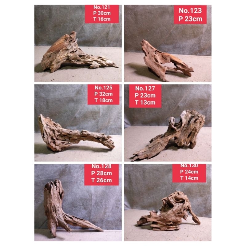 Jual kayu rentek drift Wood kayu aquascape aquarium 121 SD 130 | Shopee ...