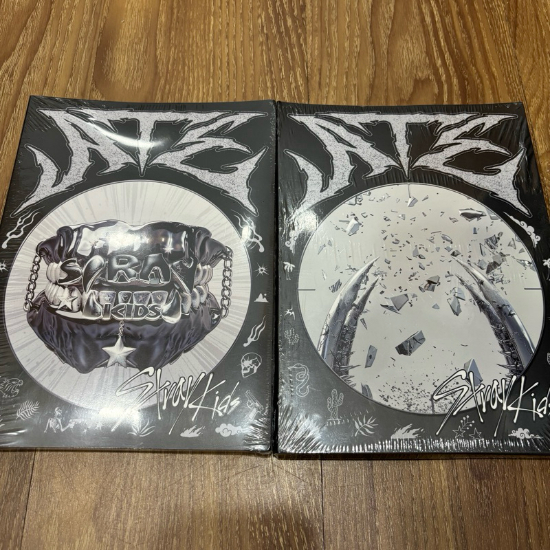 Jual [READY STOCK] ALBUM STRAY KIDS SKZ ATE CHK CHK BOOM STANDARD ...