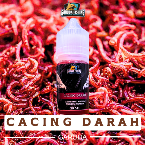 Jual Essen Biang Cacing Darah Murni Oil Base Umpan Ikan Mas Lele Patin ...