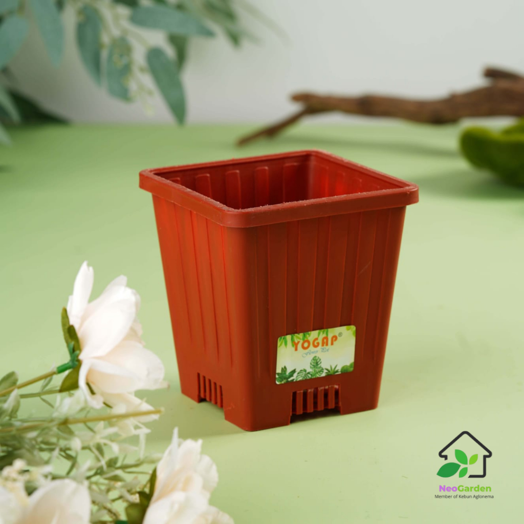 Jual POT KOTAK YOGAP - Pot plastik kotak berbagai macam ukuran murah ...