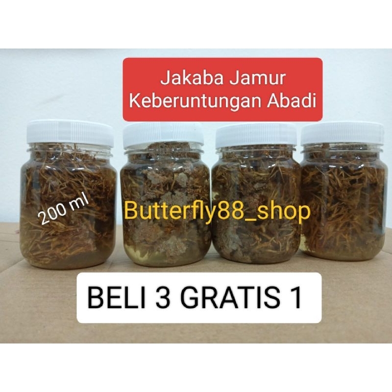Jual JamurJakaba Spora Bibit Biang Jamur Jakaba Pupuk Organik 200 ml ...