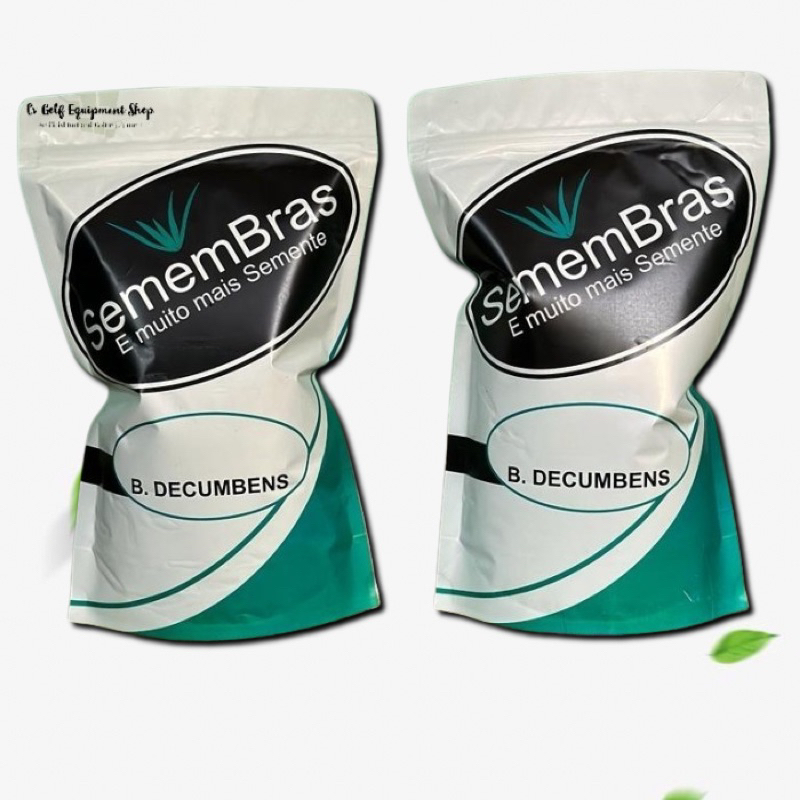 Jual 1 kilo Benih RUMPUT SIGNAL GRASS PREMIUM - Biji benih rumput ...