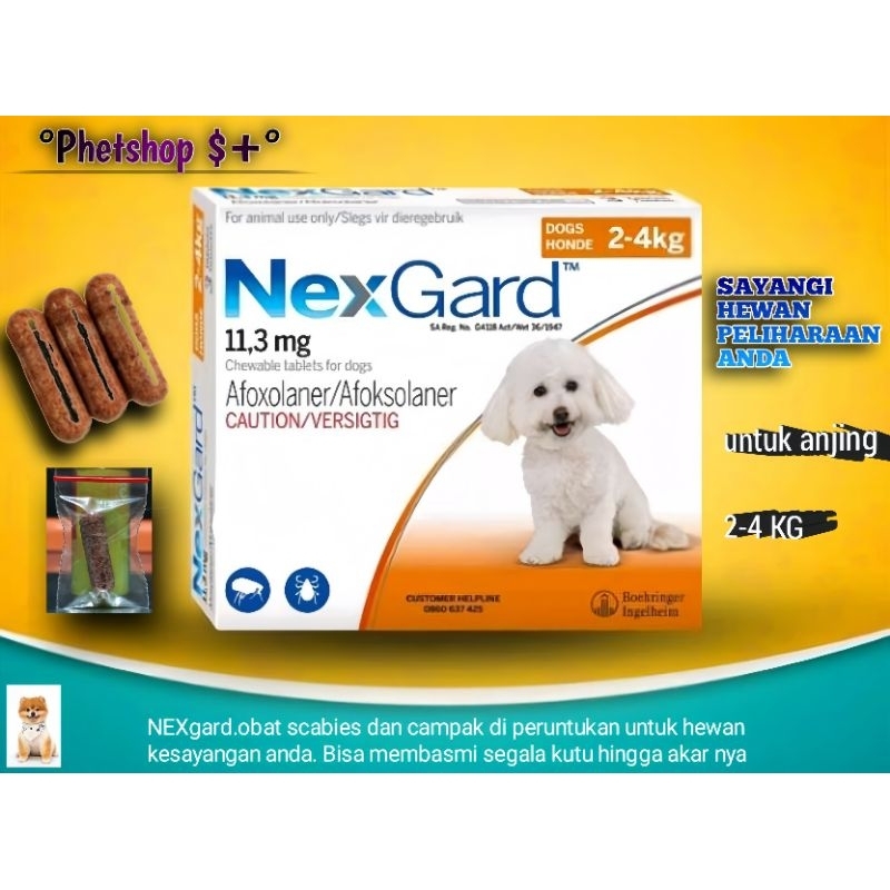 Jual Obat kutu anjing kecil NexgarD small(2-4 kg) ORIGINAL REPACK(isi ...
