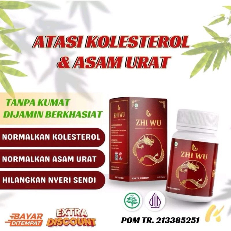 Jual Obat Herbal China Zhi Wu Ampuh Mengatasi Kolesterol Dan Asam Urat ...