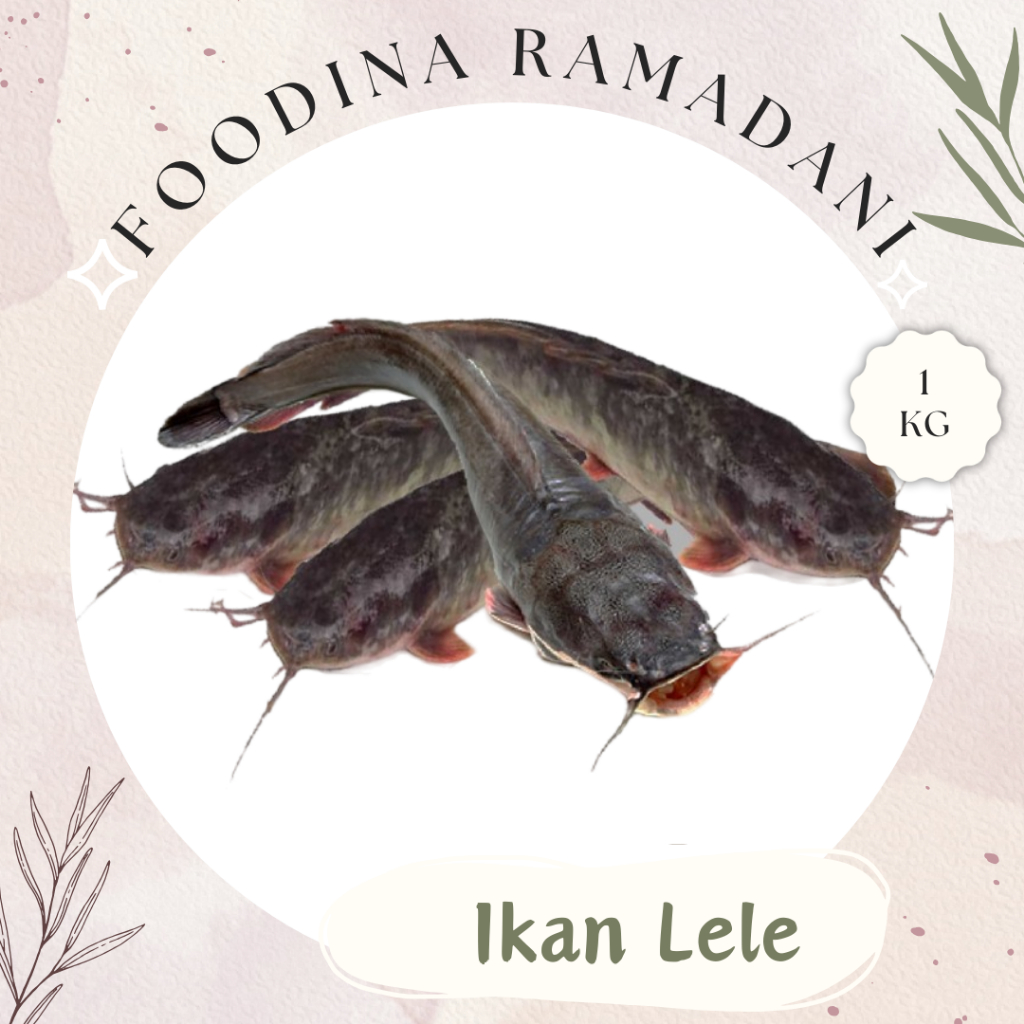 Jual IKAN LELE Hidup/Mati - CatFish Fresh [ Berat 1.000gr ] Harga Per ...