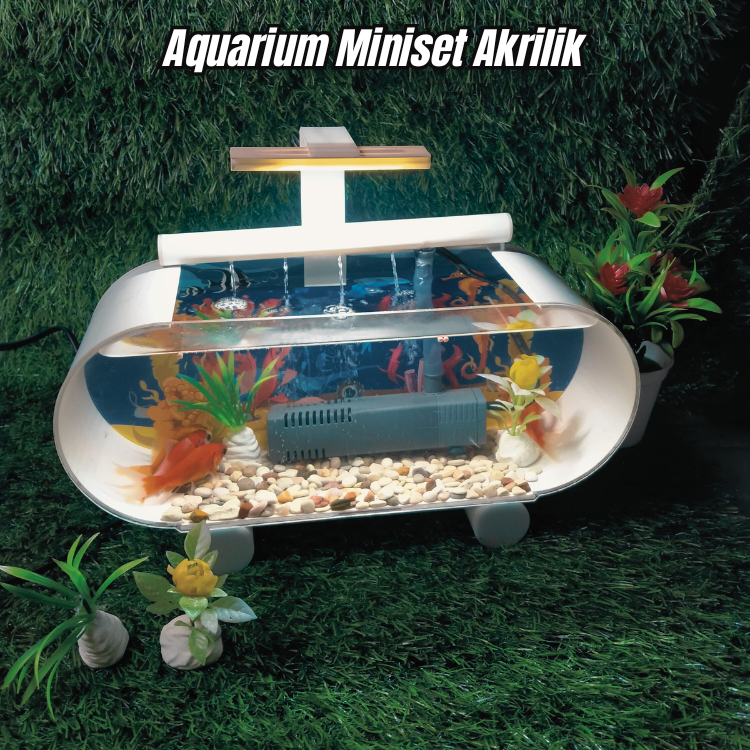 Jual Aquarium Mini Full set Dengan Pompa Dan Filter Aquarium Akrilik ...