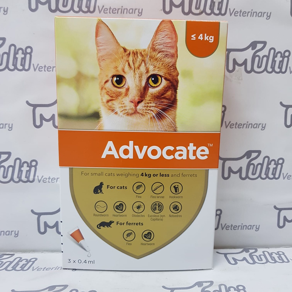Jual Advocate Cat Small Berat 0 - 4 Kg / Obat Kutu Kucing Kitten 1 Box ...