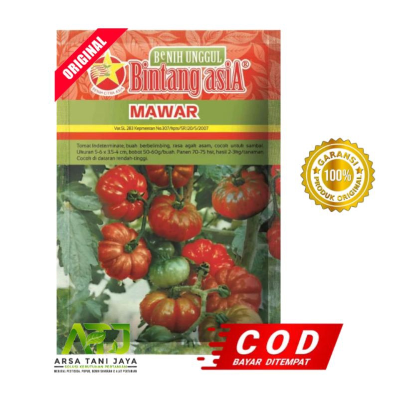 Jual Benih Tomat Ranti Keriting Mawar 10 Gram - Cap Bintang Asia ...